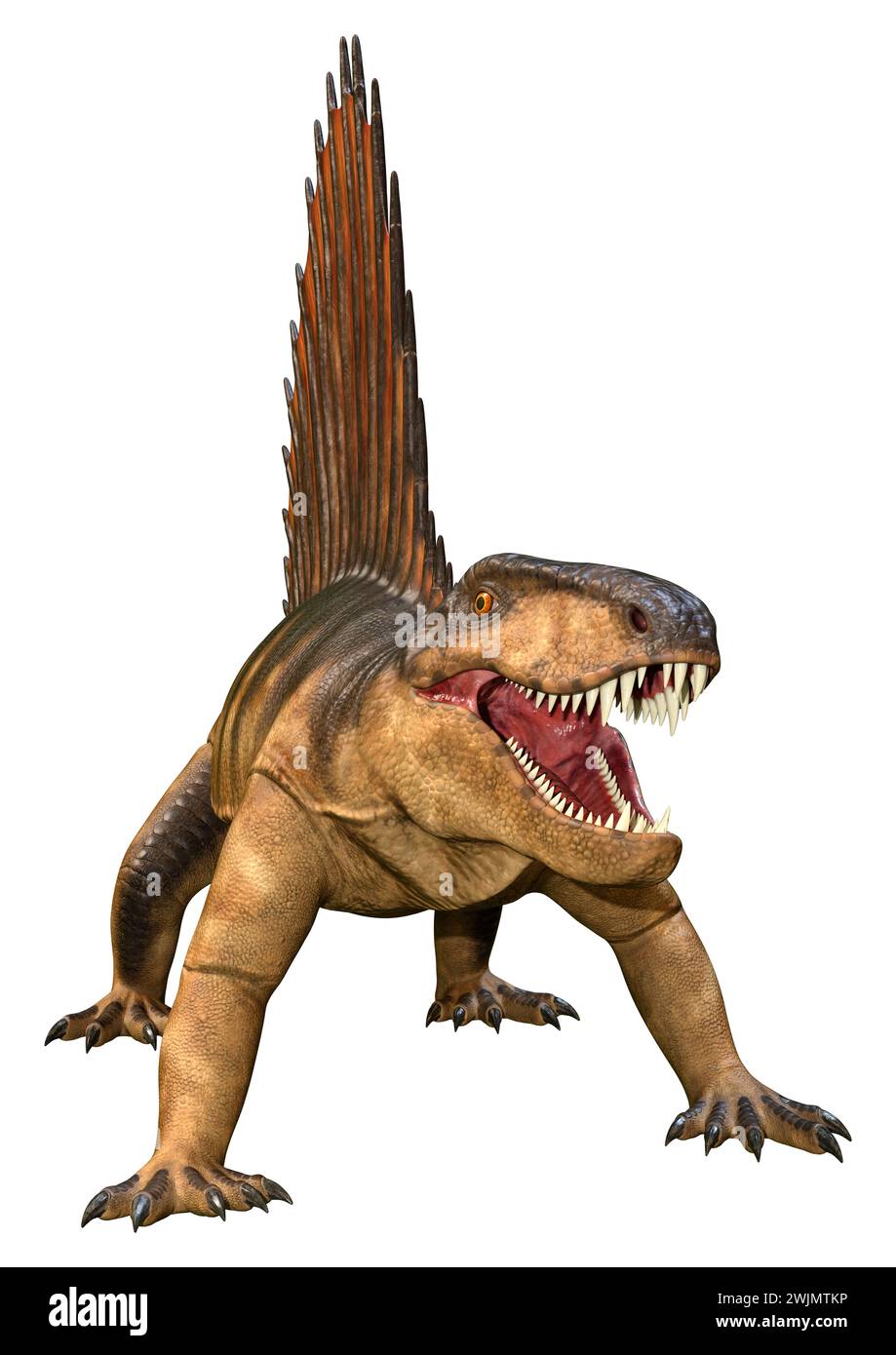 3D rendering of a dinosaur Dimetrodon isolated on white background ...