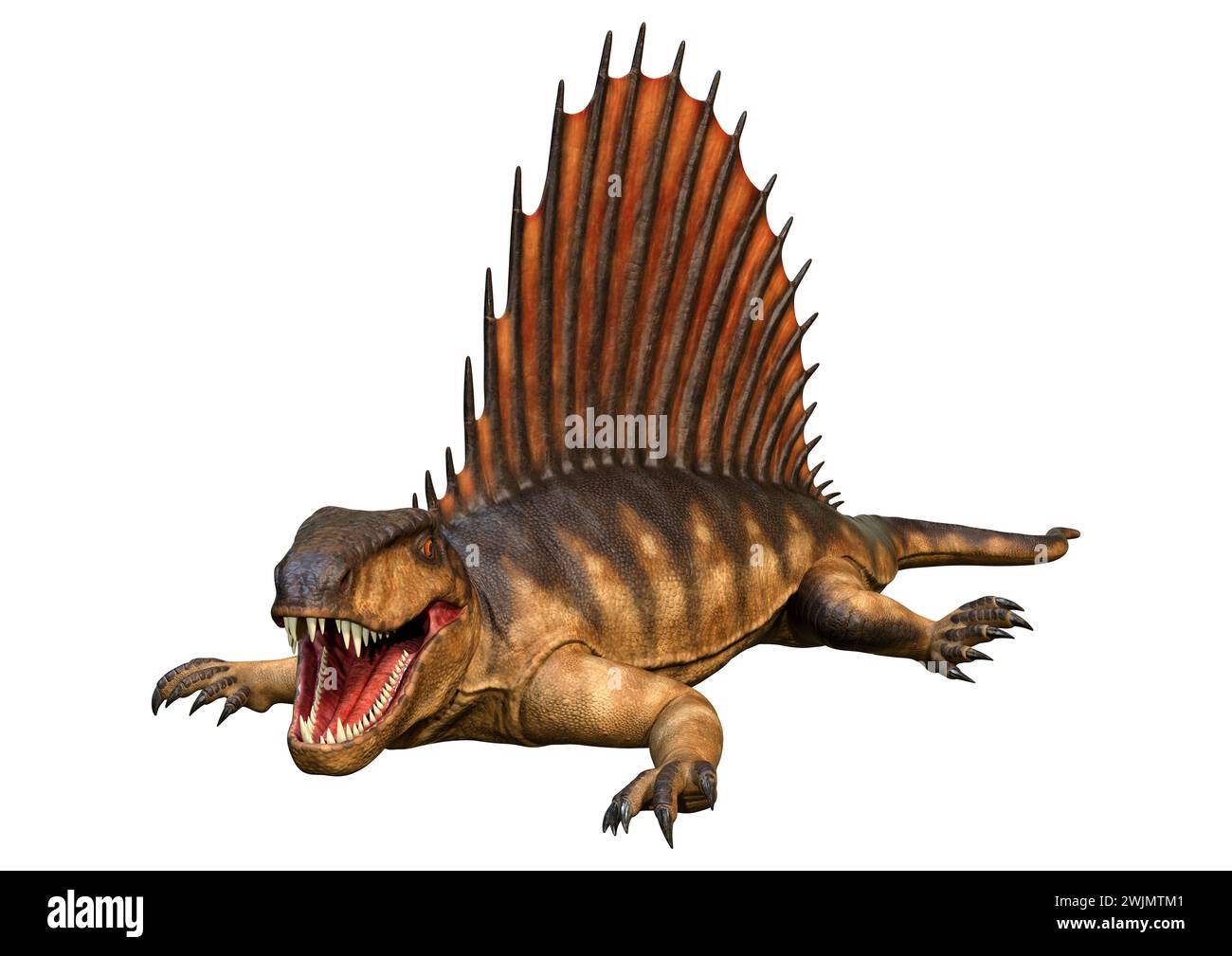 3D rendering of a dinosaur Dimetrodon isolated on white background ...