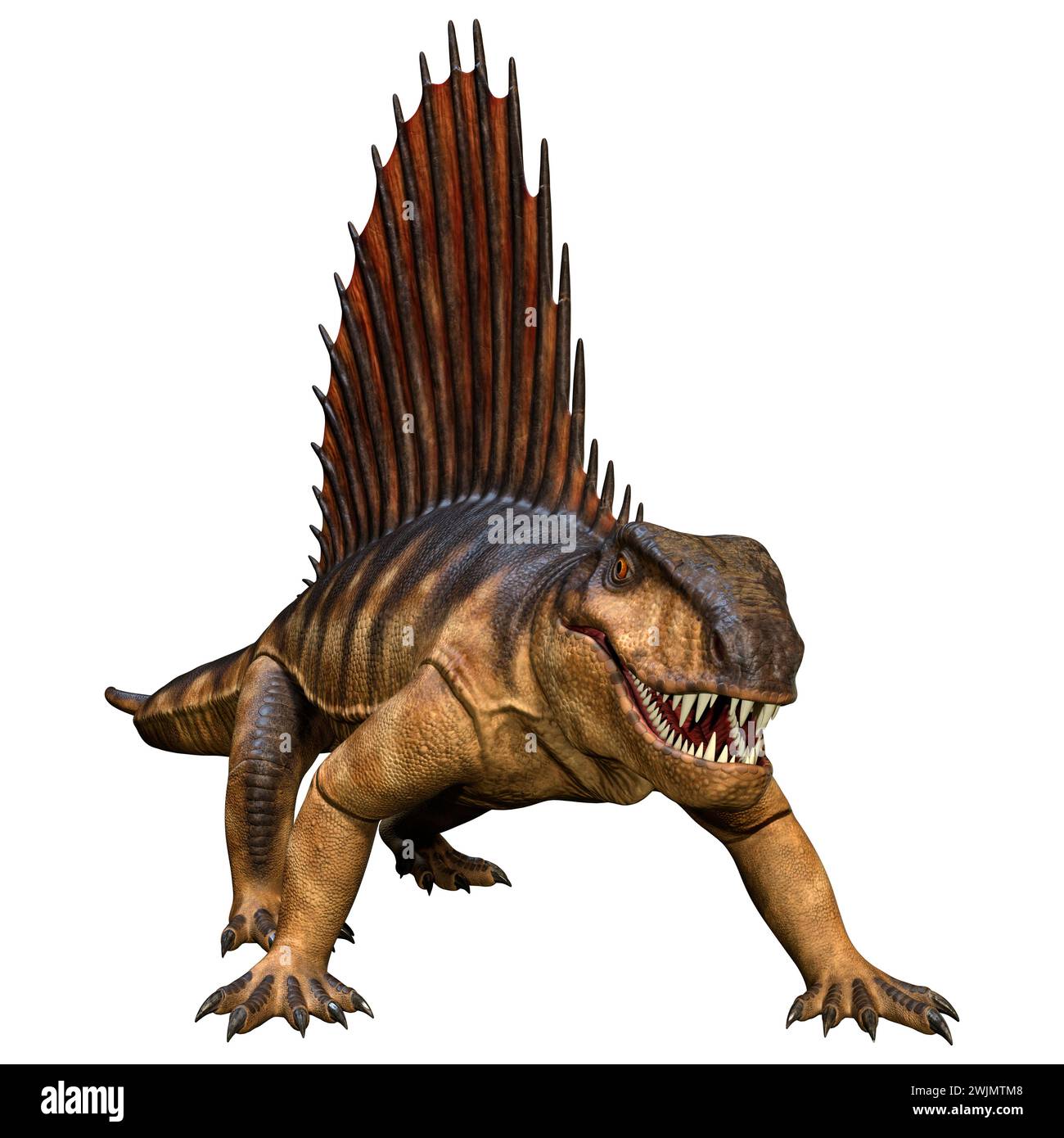 3D rendering of a dinosaur Dimetrodon isolated on white background Stock Photo - Alamy