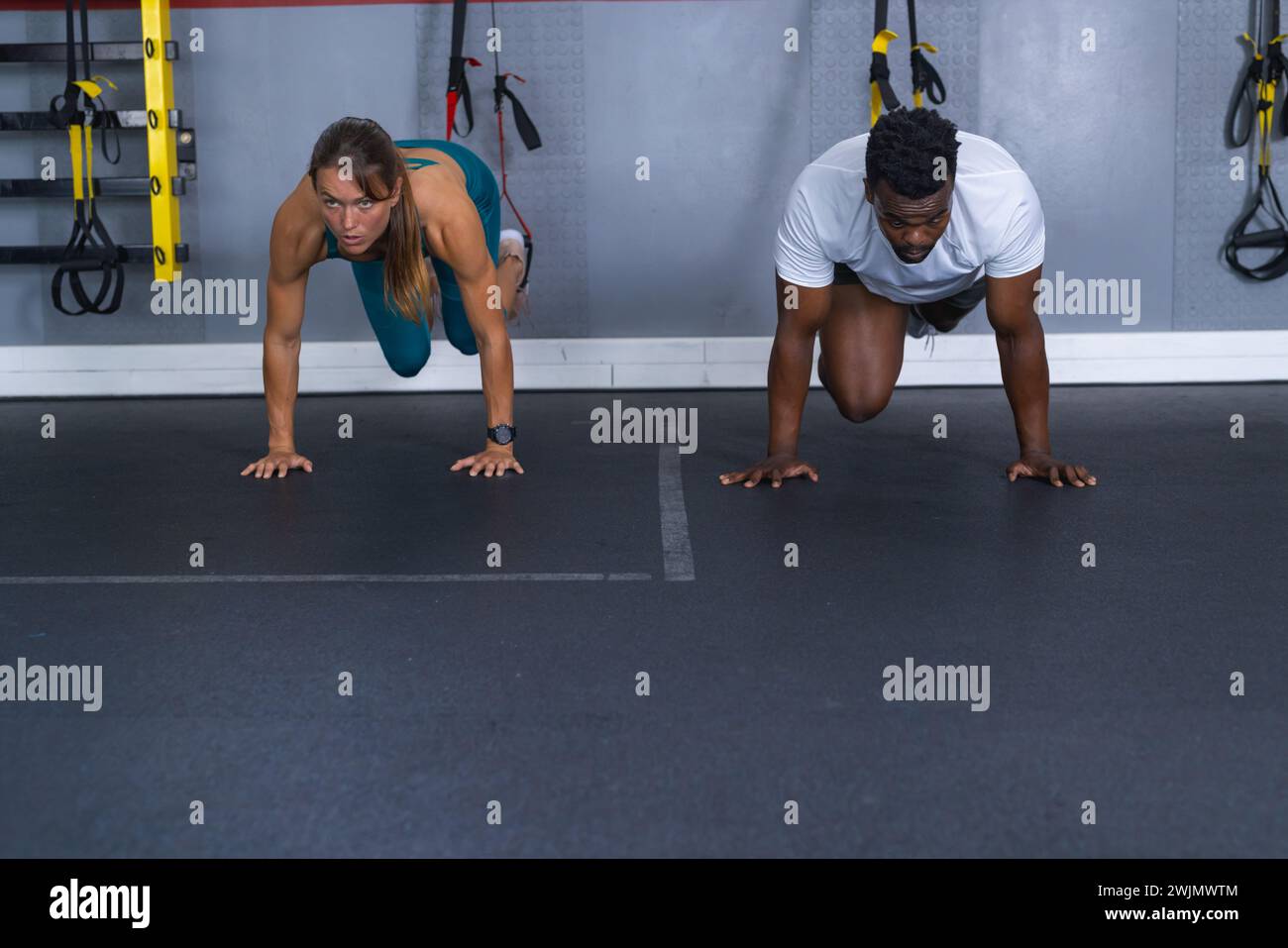 Fit diverse couple doing push-ups together at the gym Stock Photo - Alamy