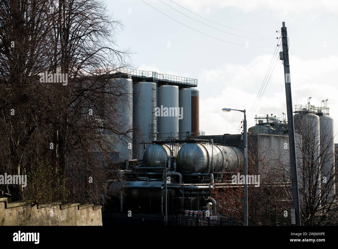 Glasgow Scotland: 12th Feb 2024: Tennent's Brewery Wellpark Tennent ...