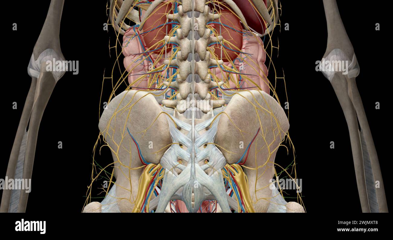 Ileum endoscopy hi-res stock photography and images - Alamy