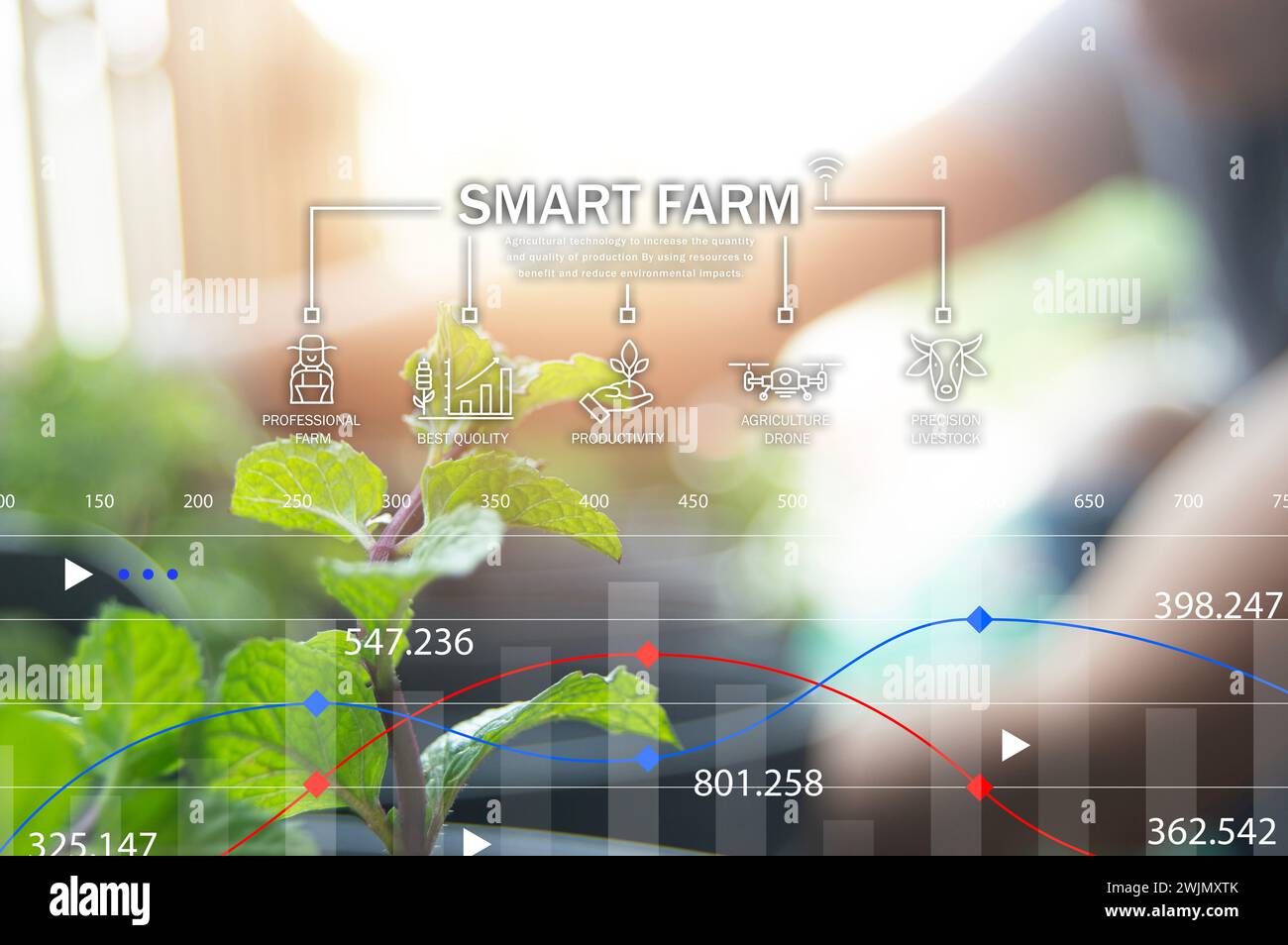 Ideas for using AI and smart farming Productivity increase and ...