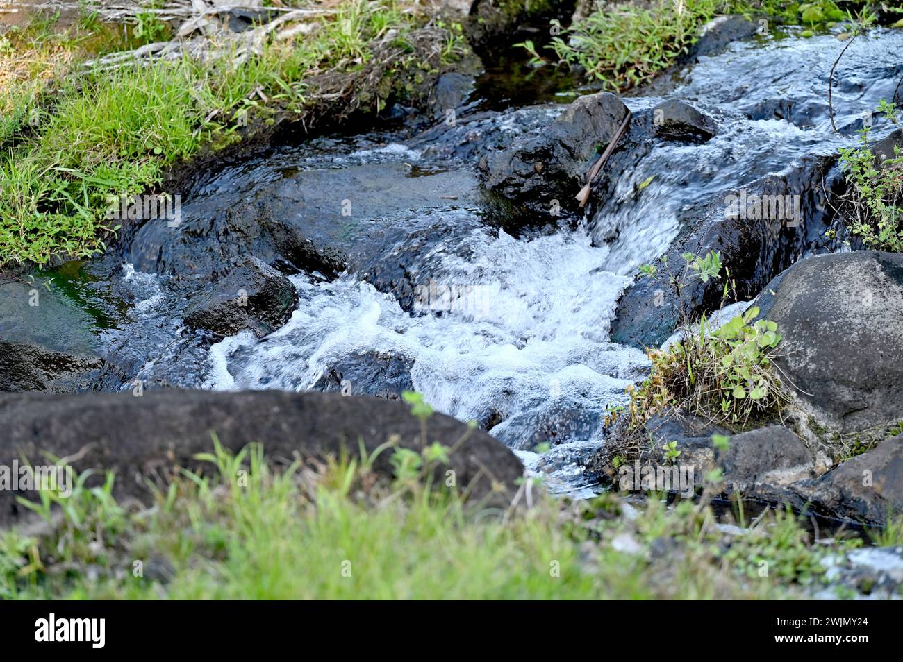 VOLCÁN MIRAVALLES, ALUAJUELA PROVINCE, COSTA RICA: A spring-fed stream ...
