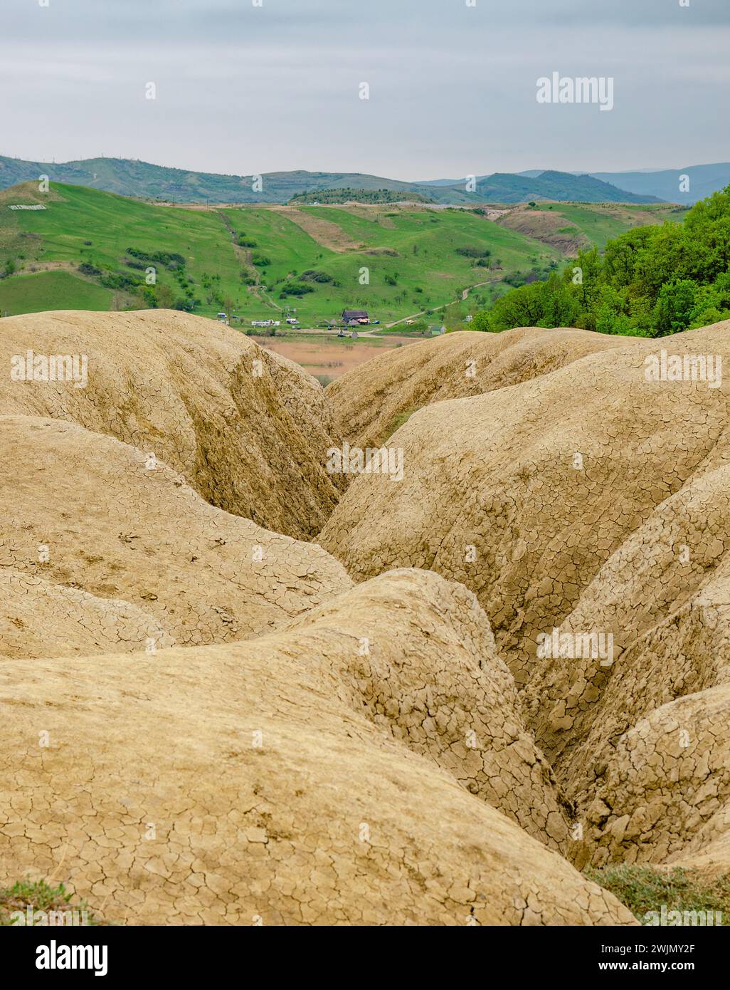 A cluster of earthen mounds and shrubs situated amidst a barren ...