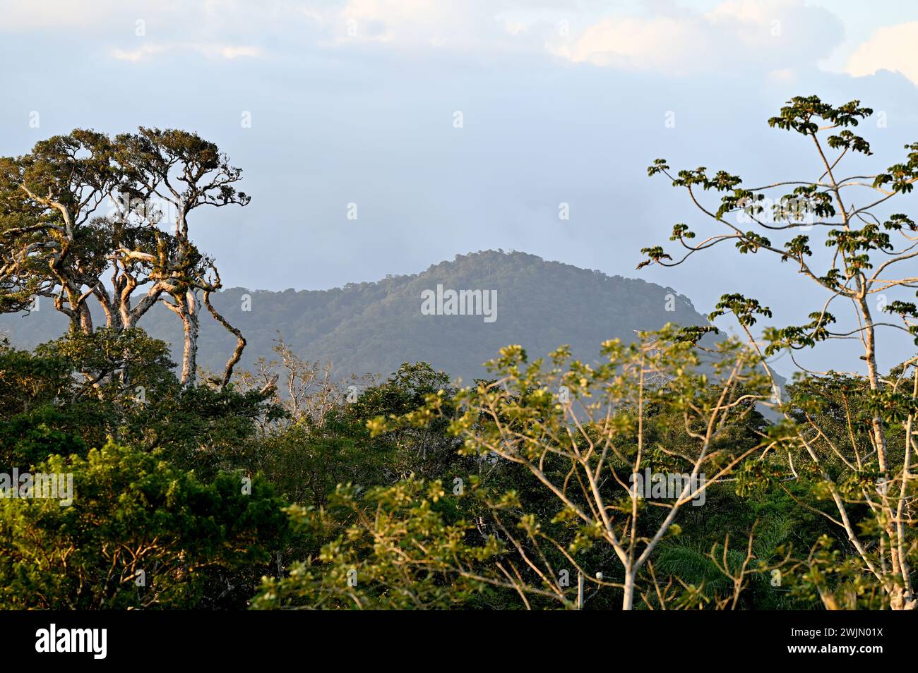 VOLCÁN MIRAVALLES, ALUAJUELA PROVINCE, COSTA RICA: Natural views of ...