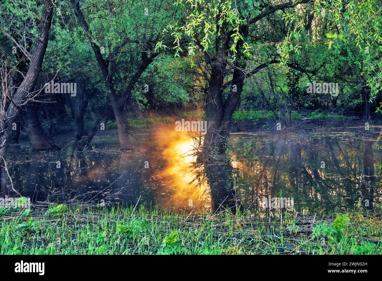 High water (spring flood) on the river and evening low sun with ...