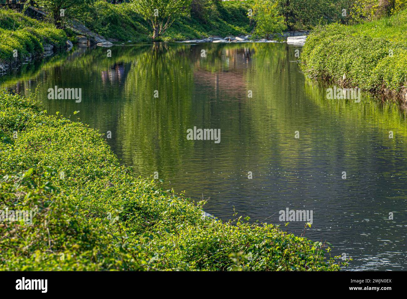 Mirror river hi-res stock photography and images - Alamy