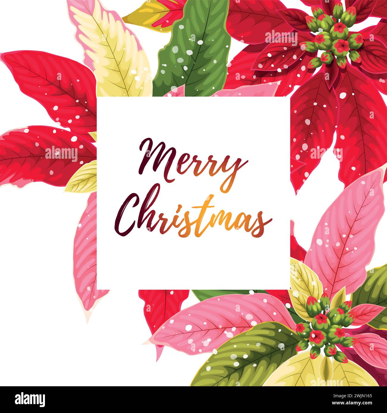 Fashion complimentary card Stock Vector Images - Alamy