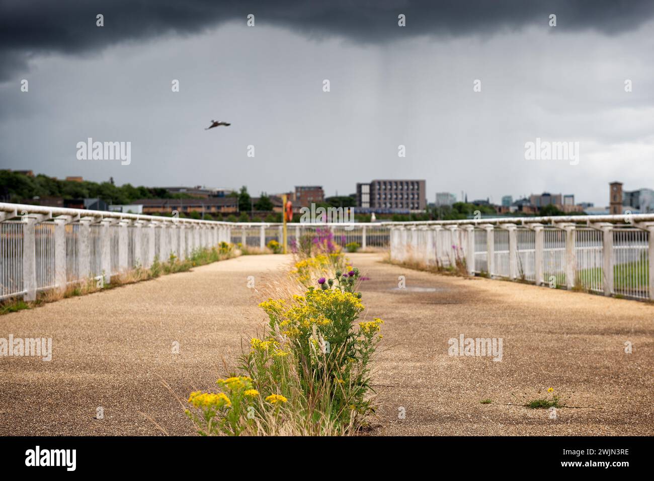 Urban landscapes in the city of Glasgow Scotland, showing nature and ...
