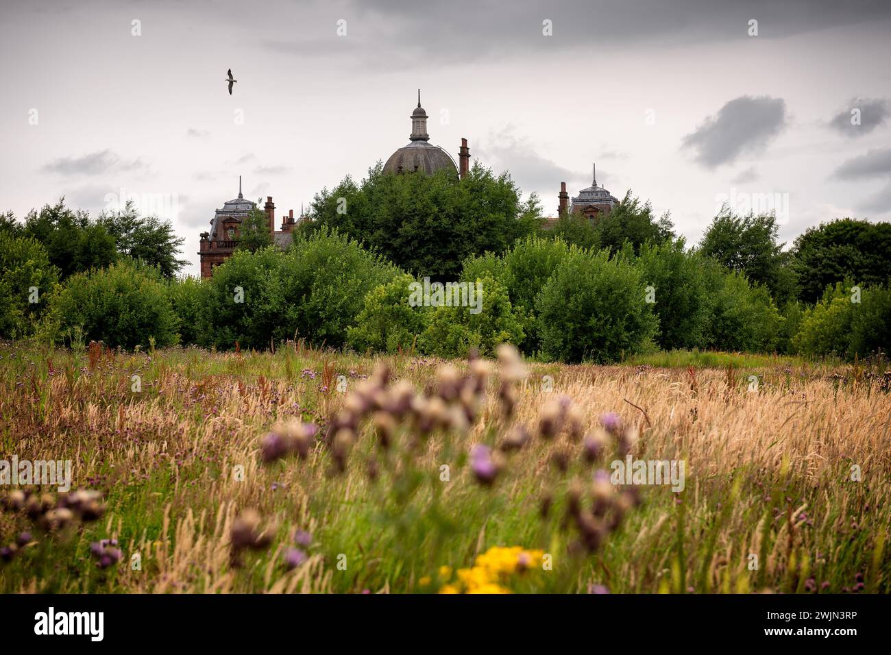 Urban landscapes in the city of Glasgow Scotland, showing nature and ...
