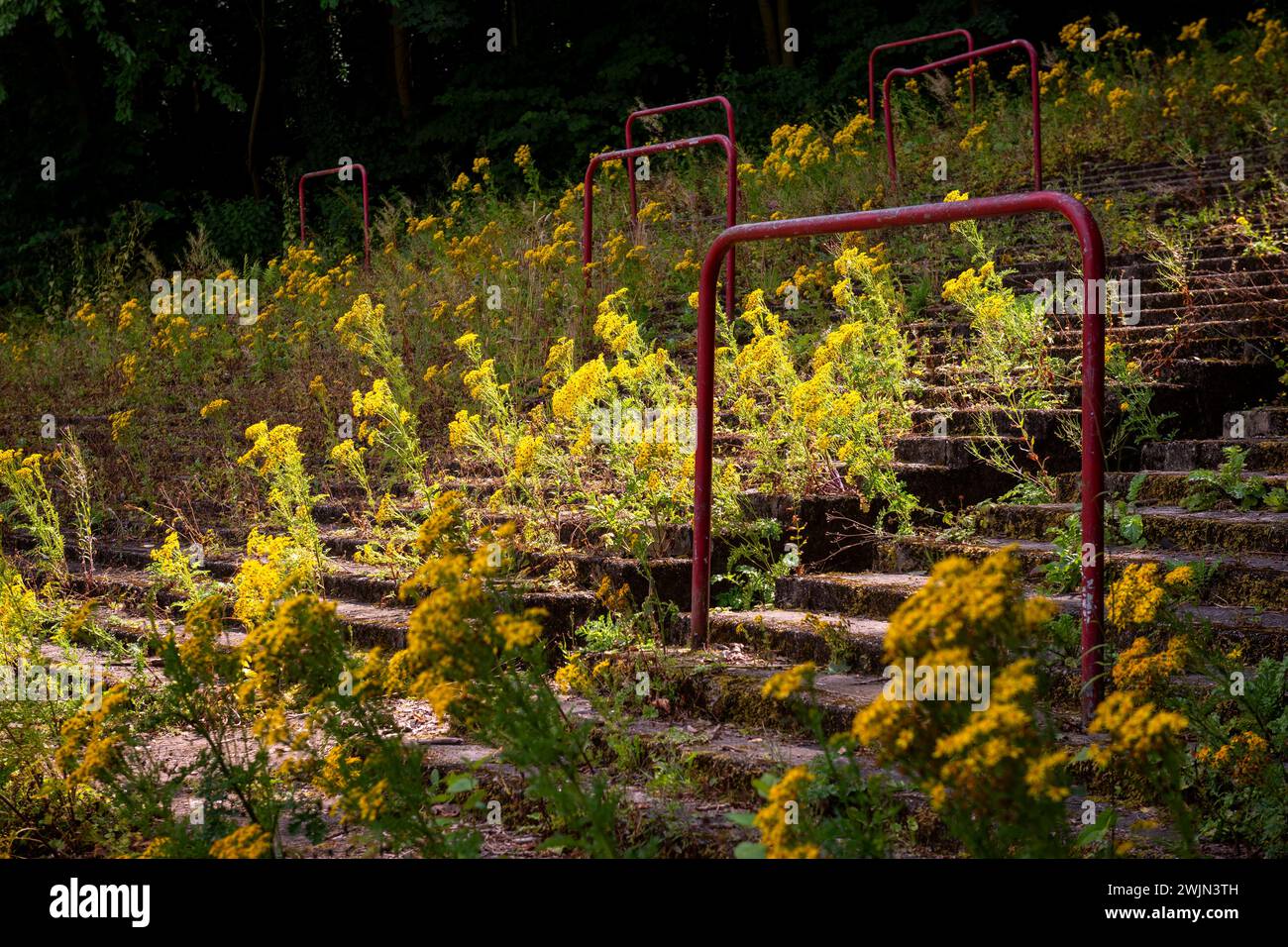 Urban landscapes in the city of Glasgow Scotland, showing nature and ...