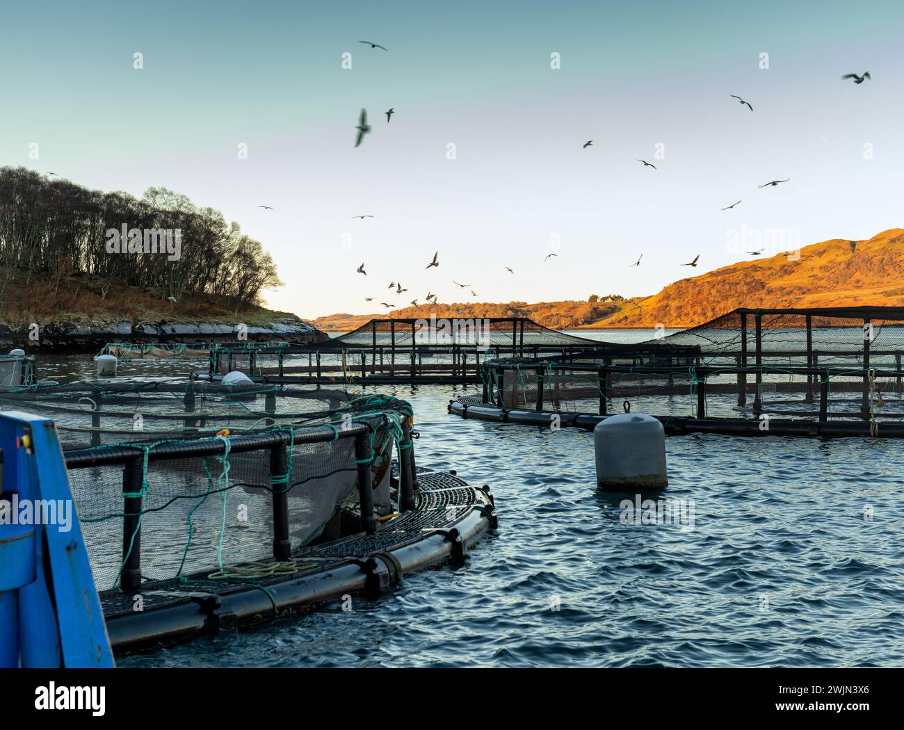 Fish farmer and boat hi-res stock photography and images - Alamy
