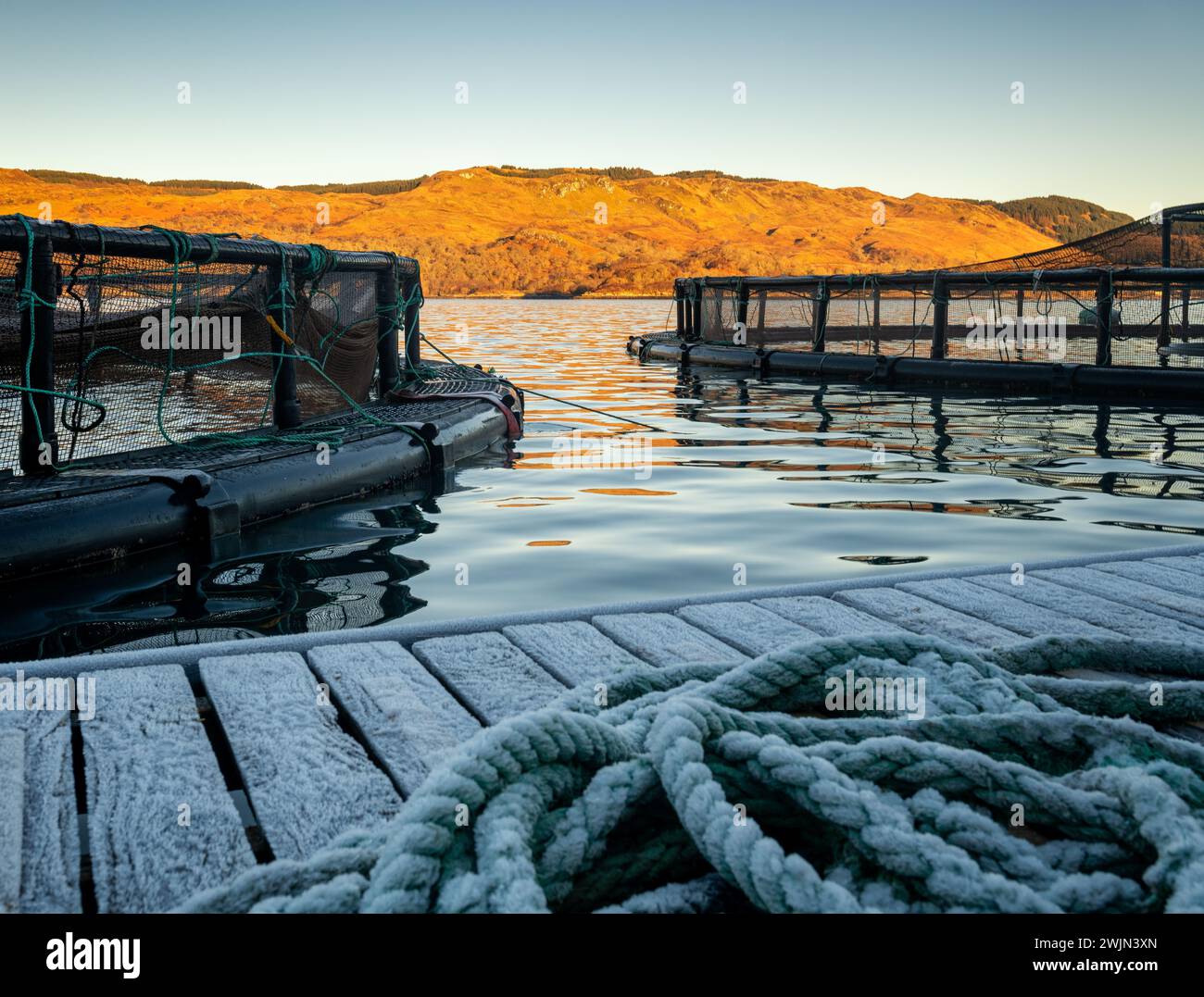 Enclosure cages of a fish farm in a sea loch farm on the west coast of ...