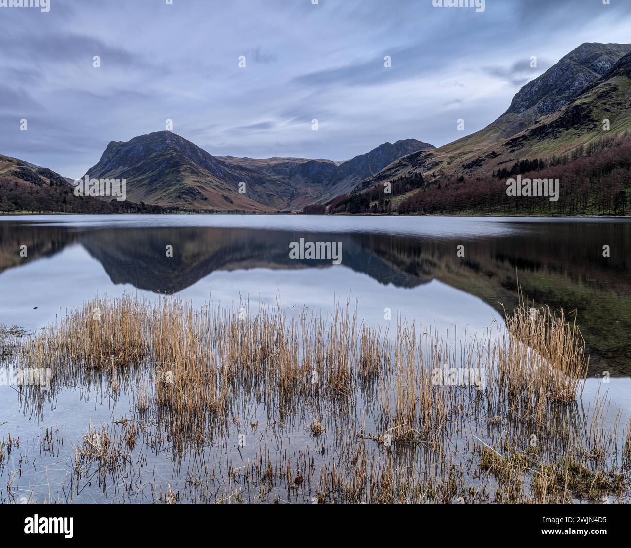 Buttermere lone tree hi-res stock photography and images - Alamy