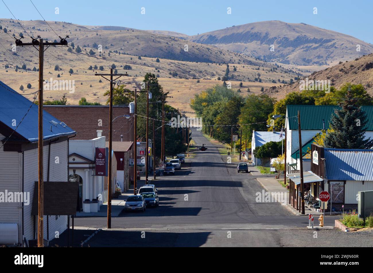 Small fossil hi-res stock photography and images - Alamy
