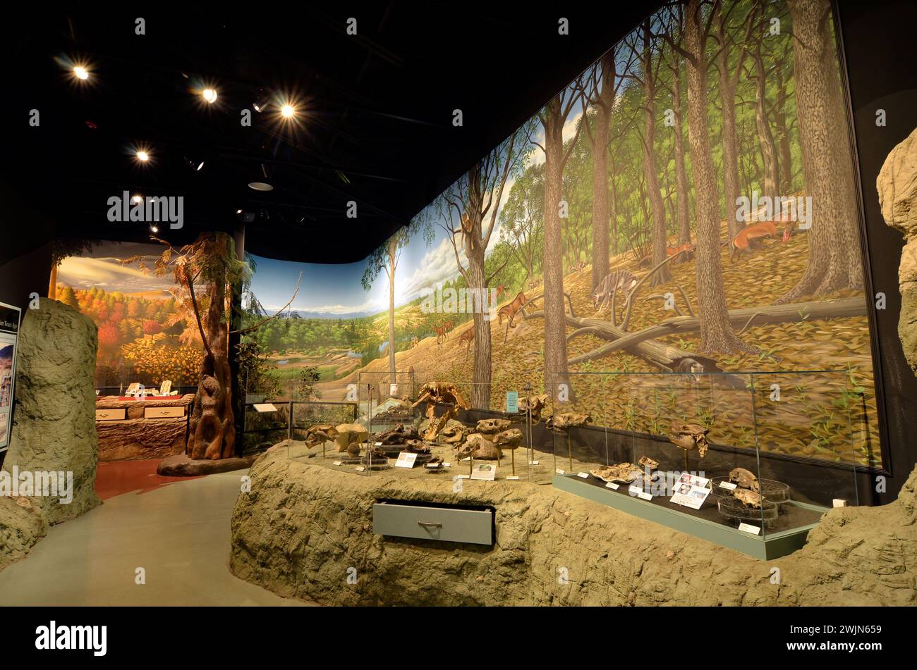 Thomas Condon Paleontology Center, John Day Fossil Beds National ...