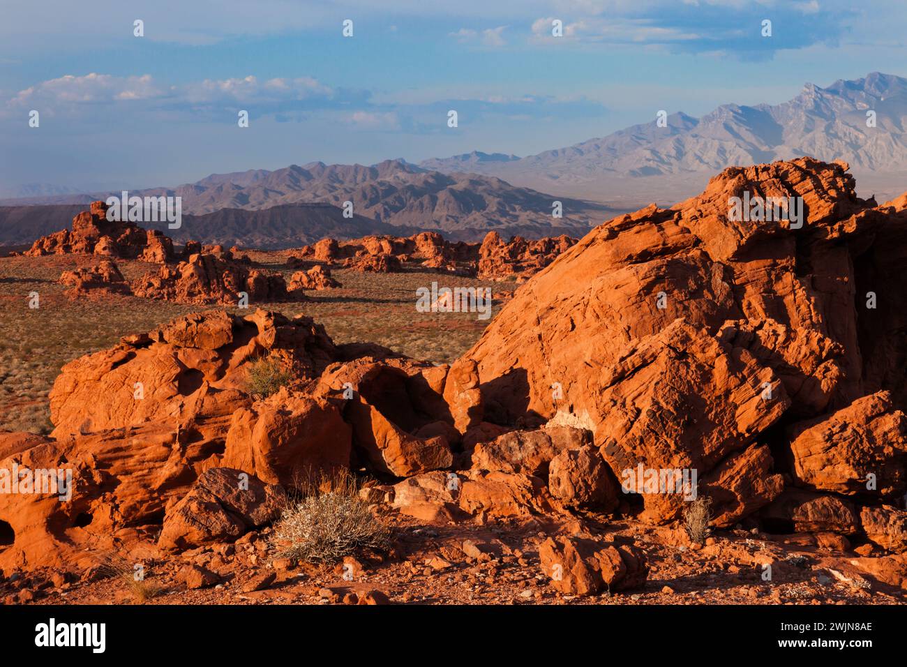 Eroded Aztec sandstone formations in Valley of Fire State Park in ...