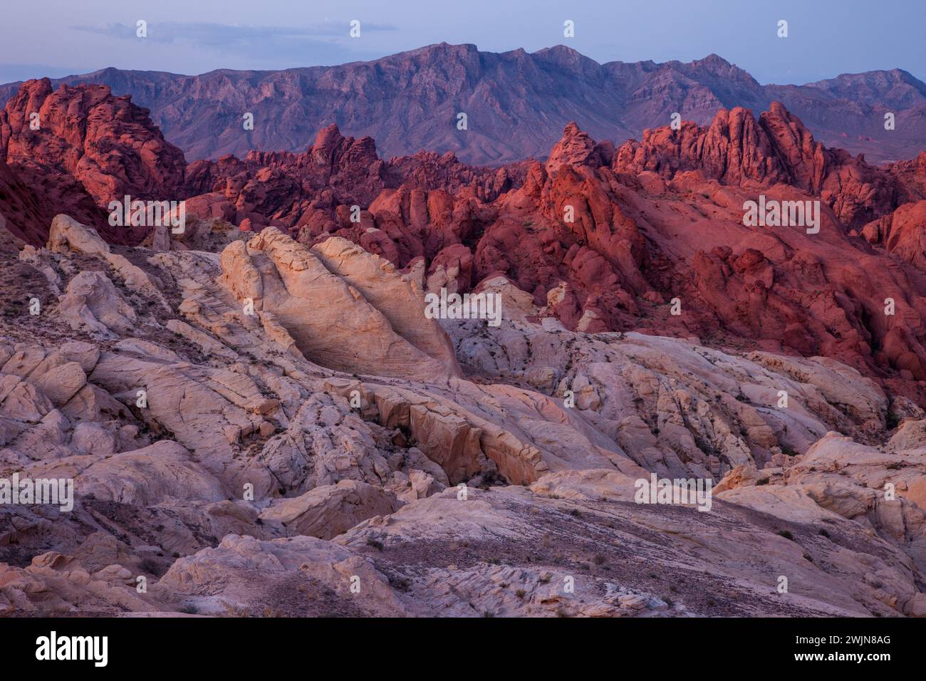 Red and white Aztec sandstone in Fire Canyon before sunrise in Valley ...