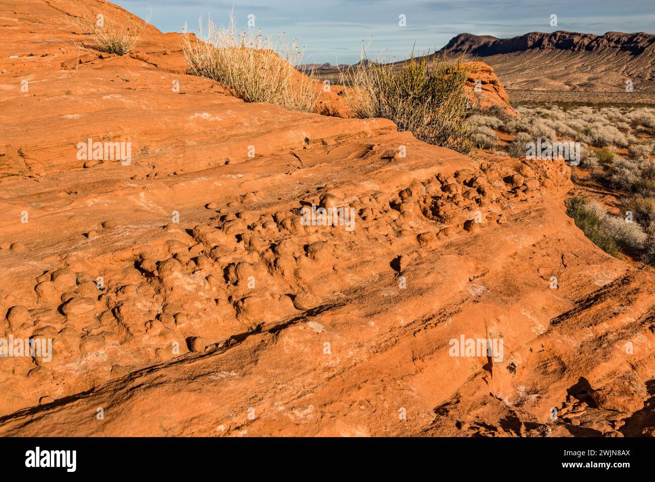 in the eroded Aztec sandstone of Valley of Fire State Park in Nevada ...