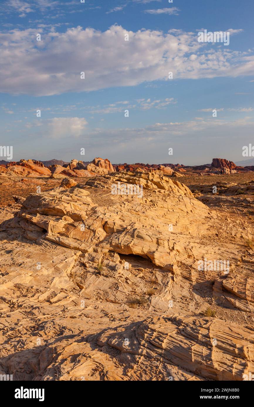 Eroded Aztec sandstone formations in Valley of Fire State Park in ...