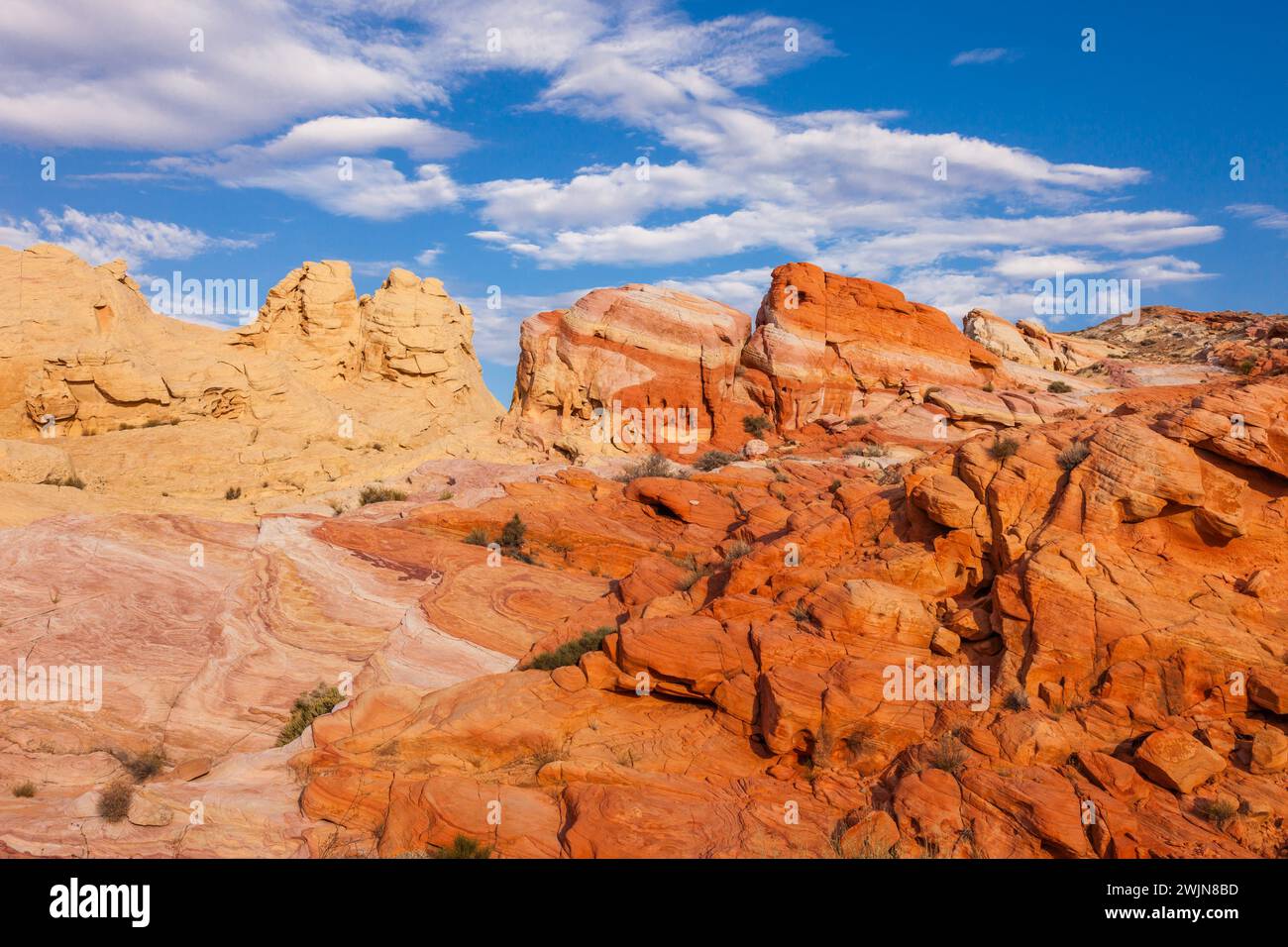 Colorful eroded Aztec sandstone formations in Valley of Fire State Park ...