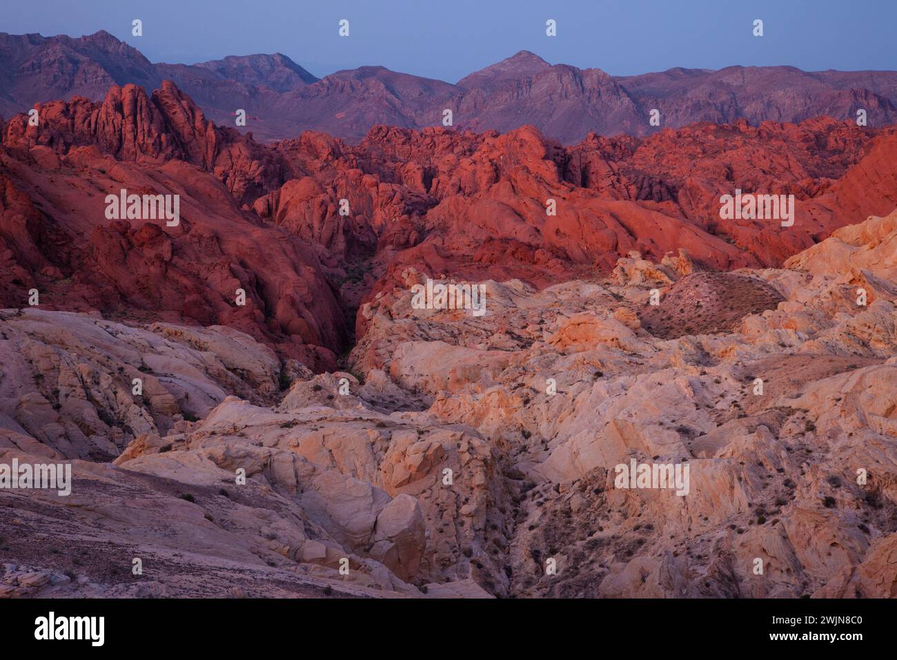 Red and white Aztec sandstone in Fire Canyon before sunrise in Valley ...