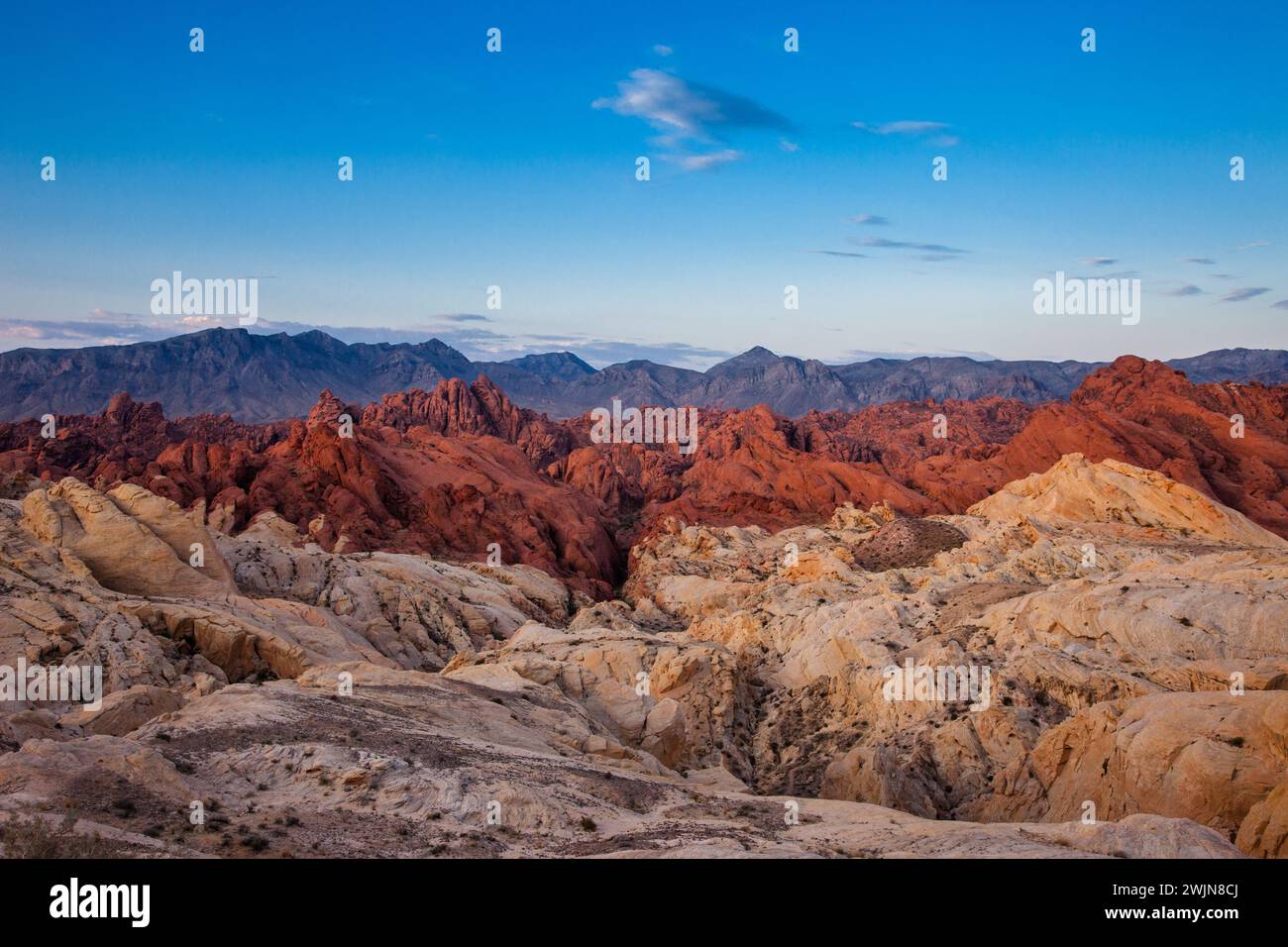 Red and white Aztec sandstone in Fire Canyon before sunrise in Valley ...