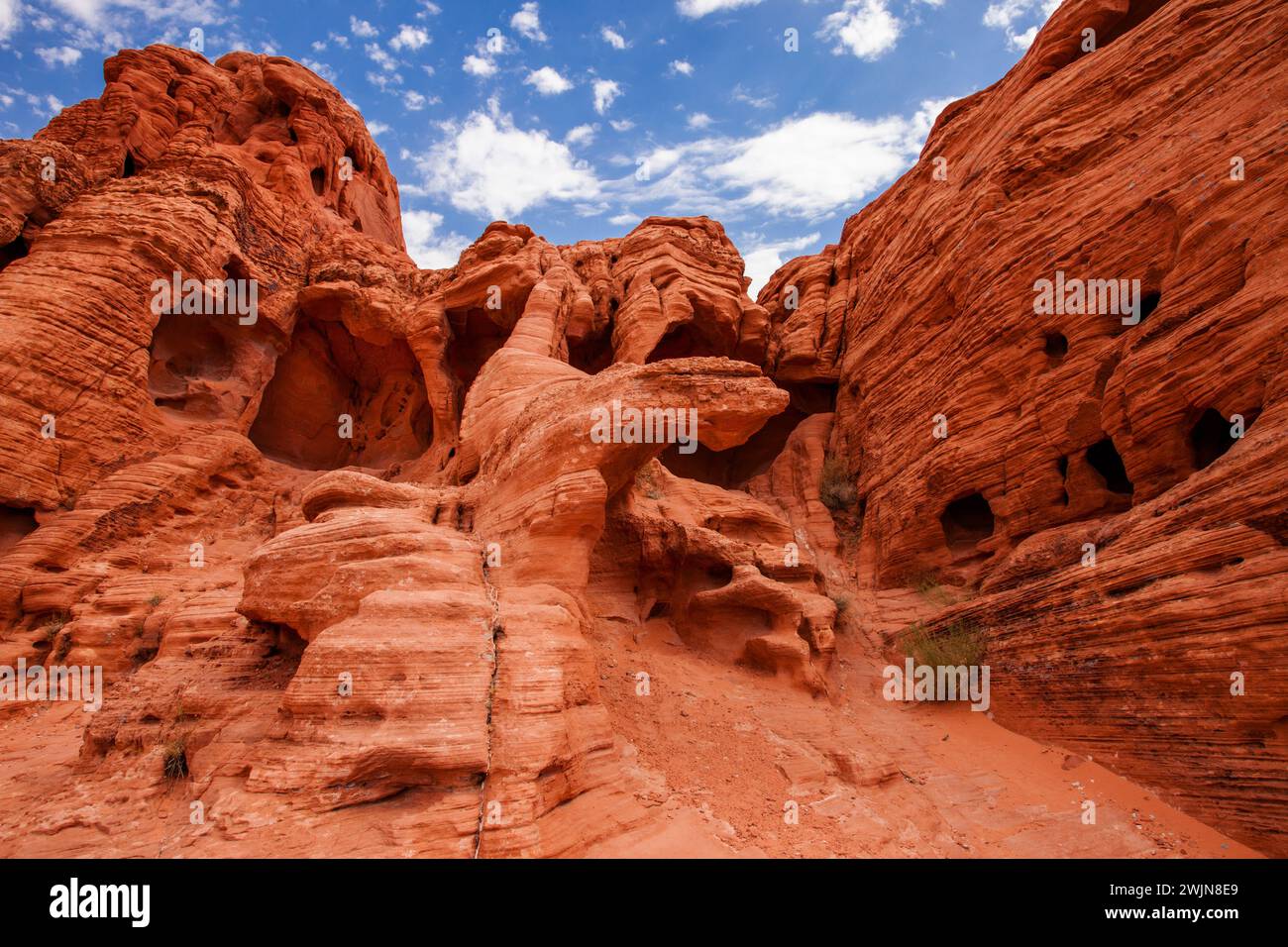 Detail of the eroded Aztec sandstone of Valley of Fire State Park in ...