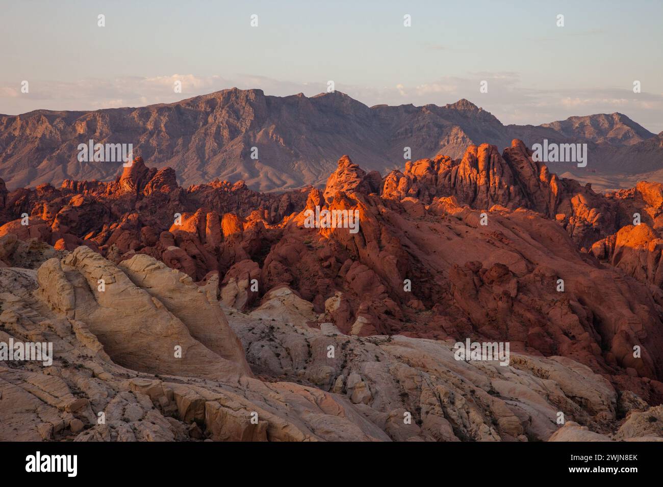 Red and white Aztec sandstone in Fire Canyon at sunrise in Valley of ...