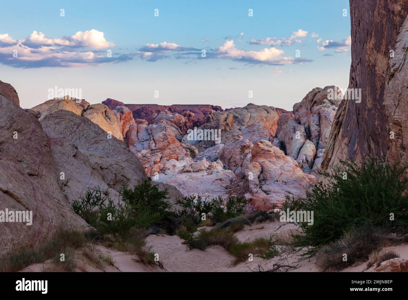 The White Domes Trail weaves through the eroded Aztec sandstone of ...