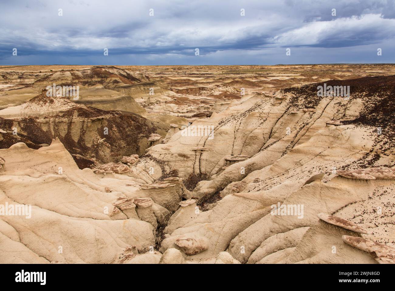 Bizarre landscape of eroded clay hills in the badlands of the San Juan ...