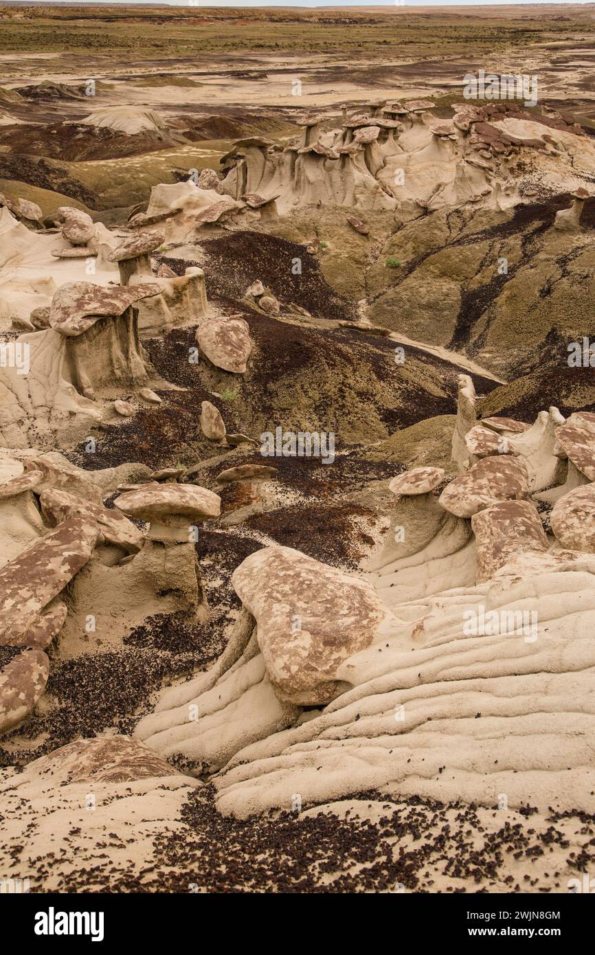 Bizarre landscape of eroded clay hills in the badlands of the San Juan ...