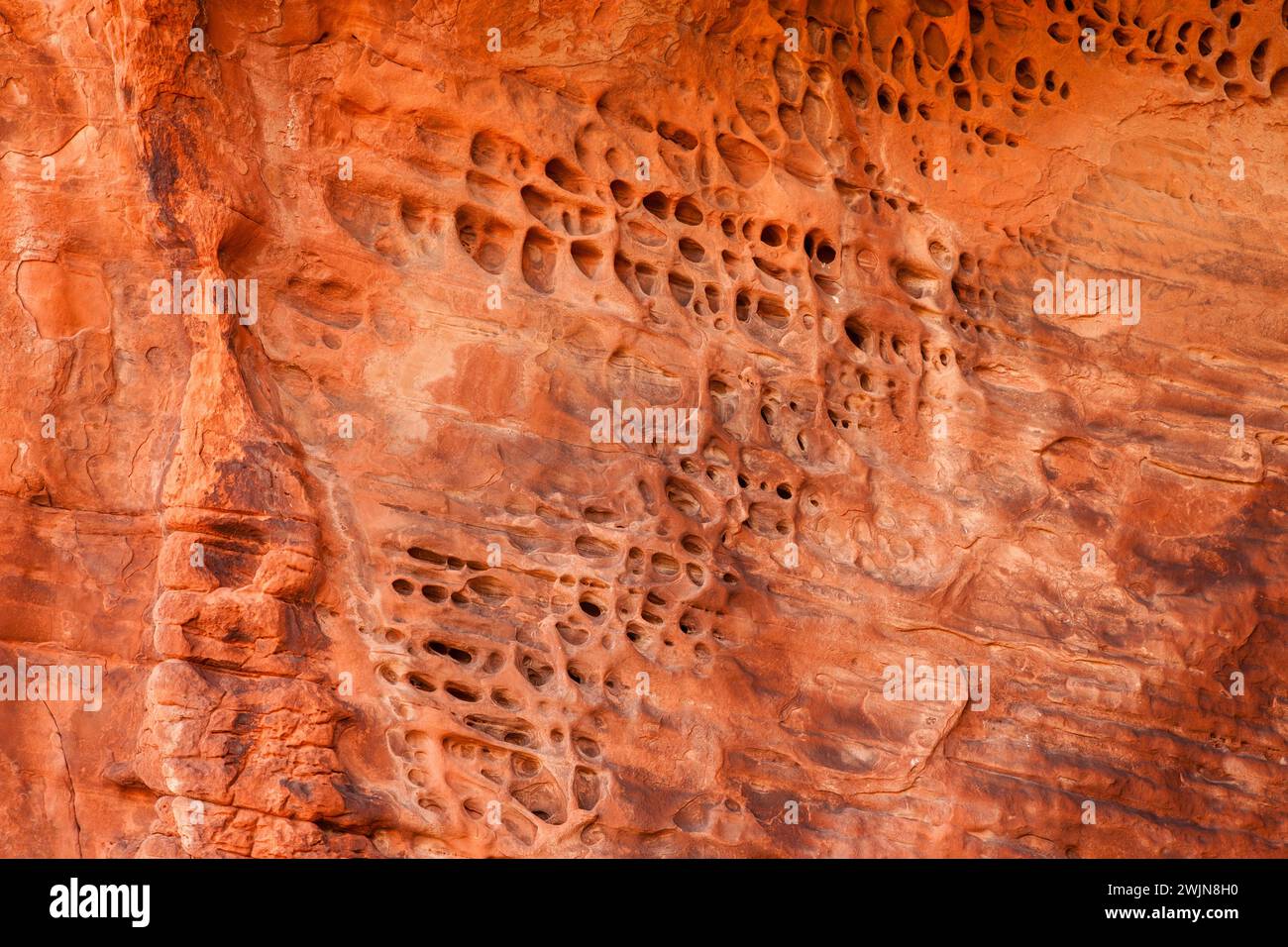 Tafoni or rock lace erosion patterns in the eroded Aztec sandstone of ...