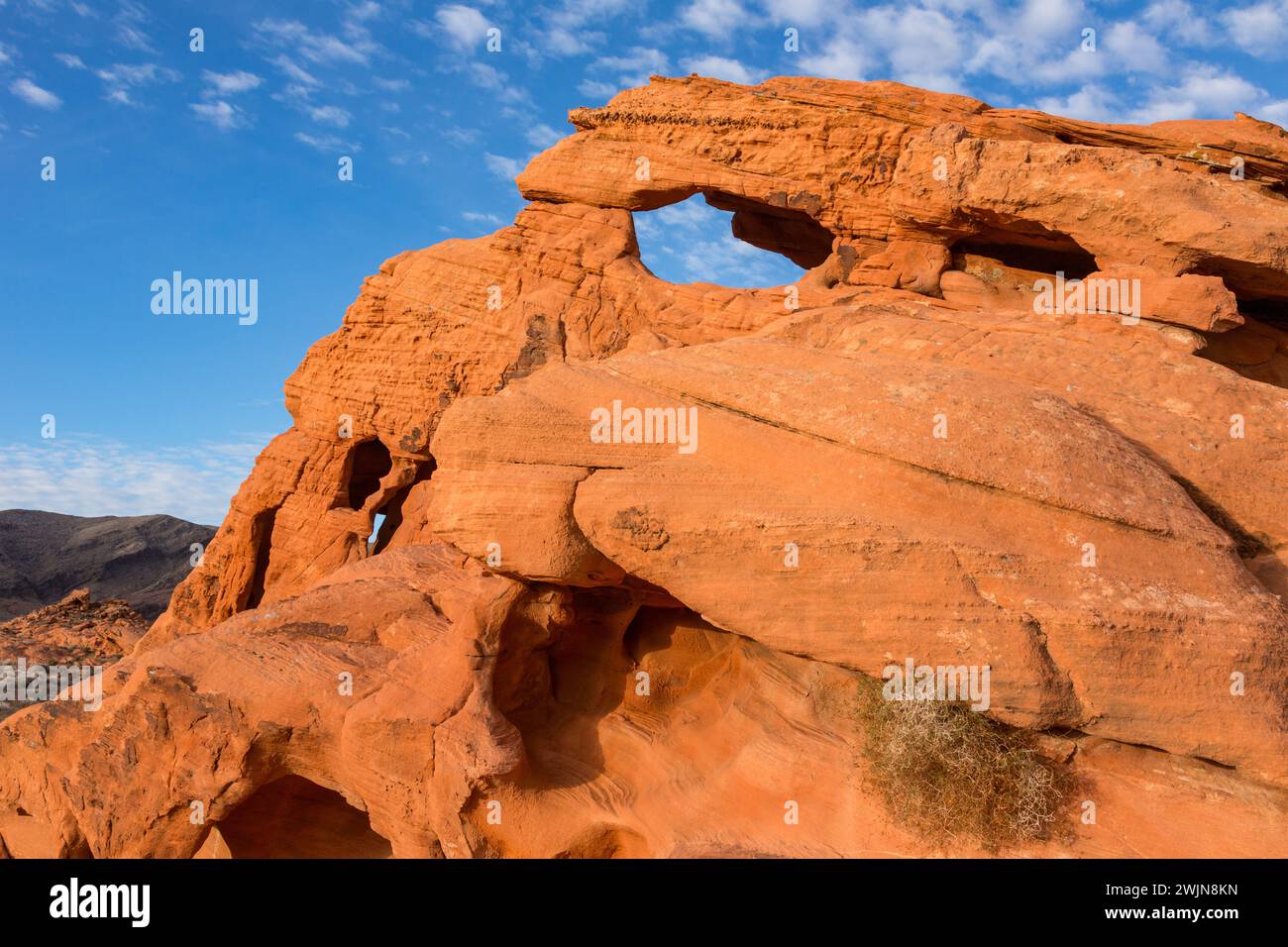 Unnamed natural arches in the eroded Aztec sandstone of Valley of Fire ...