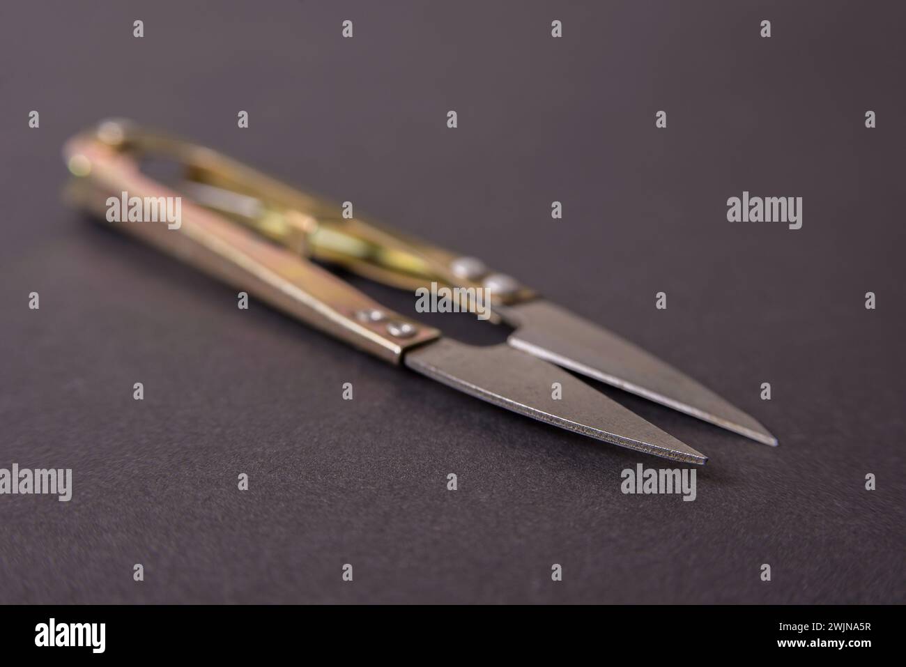 Cutter mini hi-res stock photography and images - Alamy