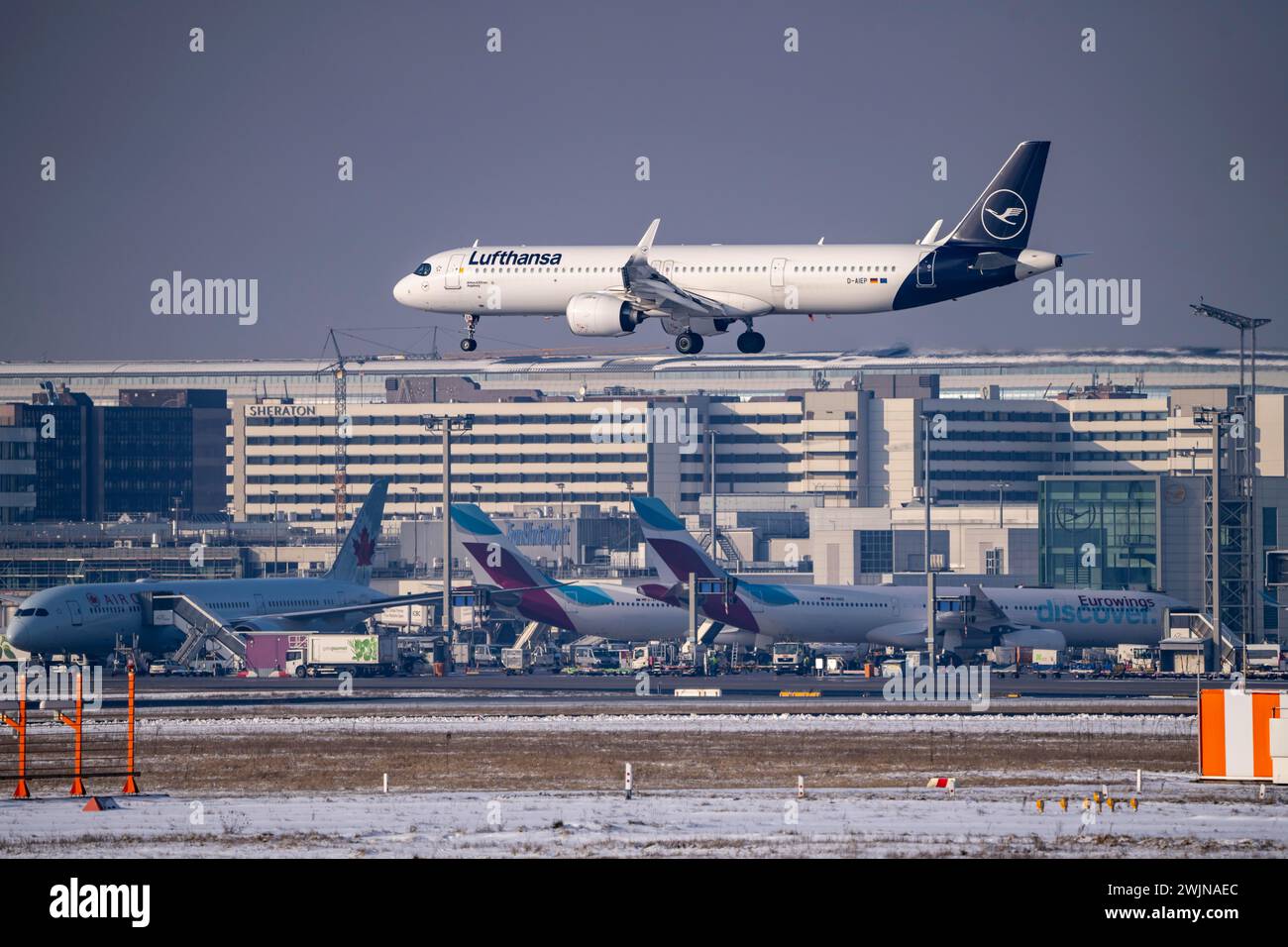 Lufthansa Airbus A321neo, on approach to Frankfurt FRA airport ...