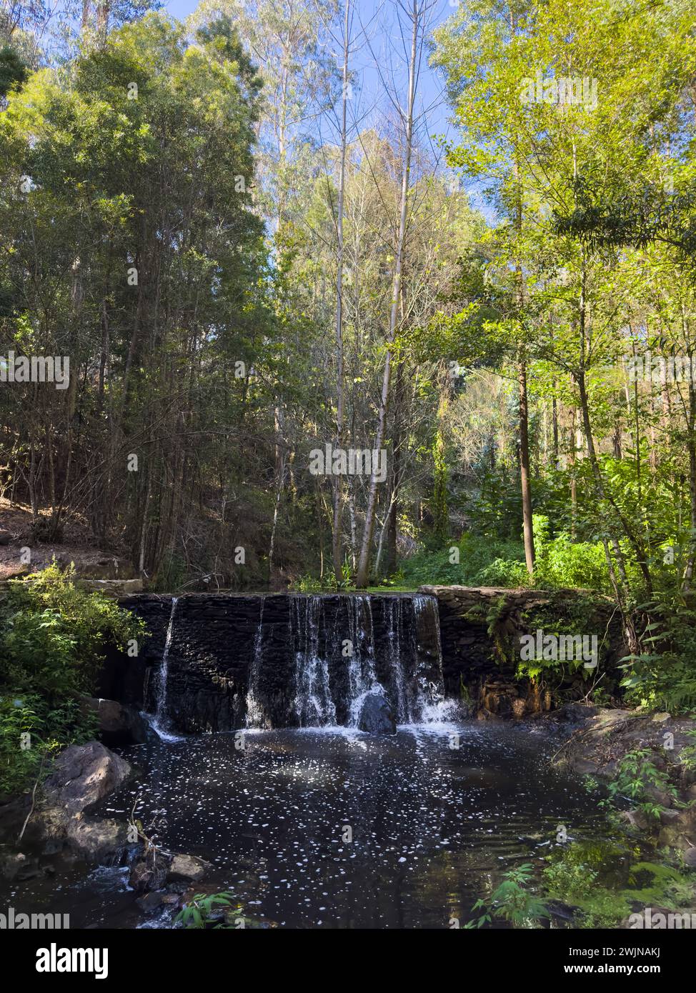 Waterfall of Lourido river in the park of the Estanislau fountain in ...
