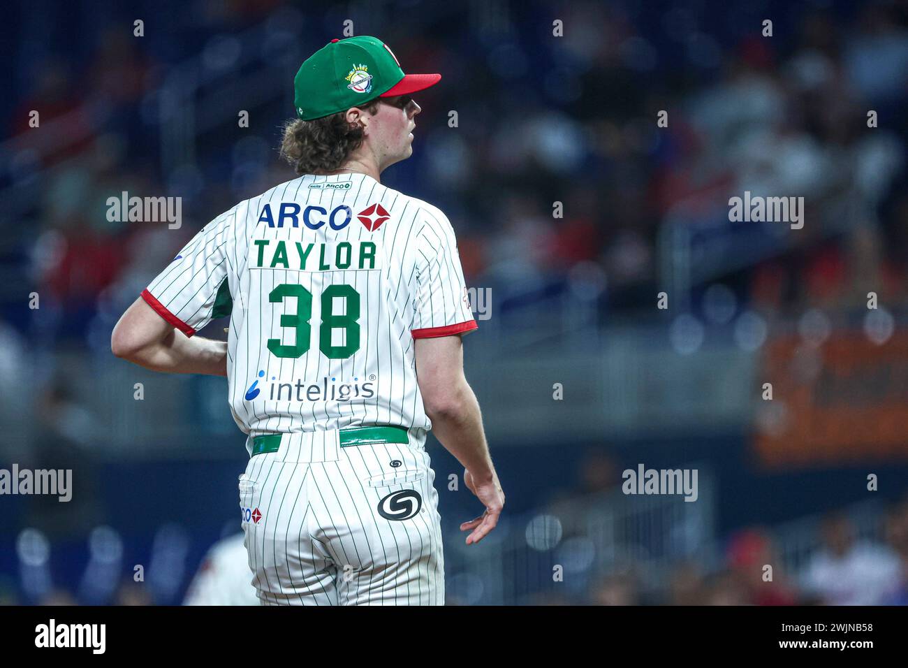 MIAMI, FLORIDA - FEBRUARY 2: Curtis Taylor, pitcher Naranjeros de ...