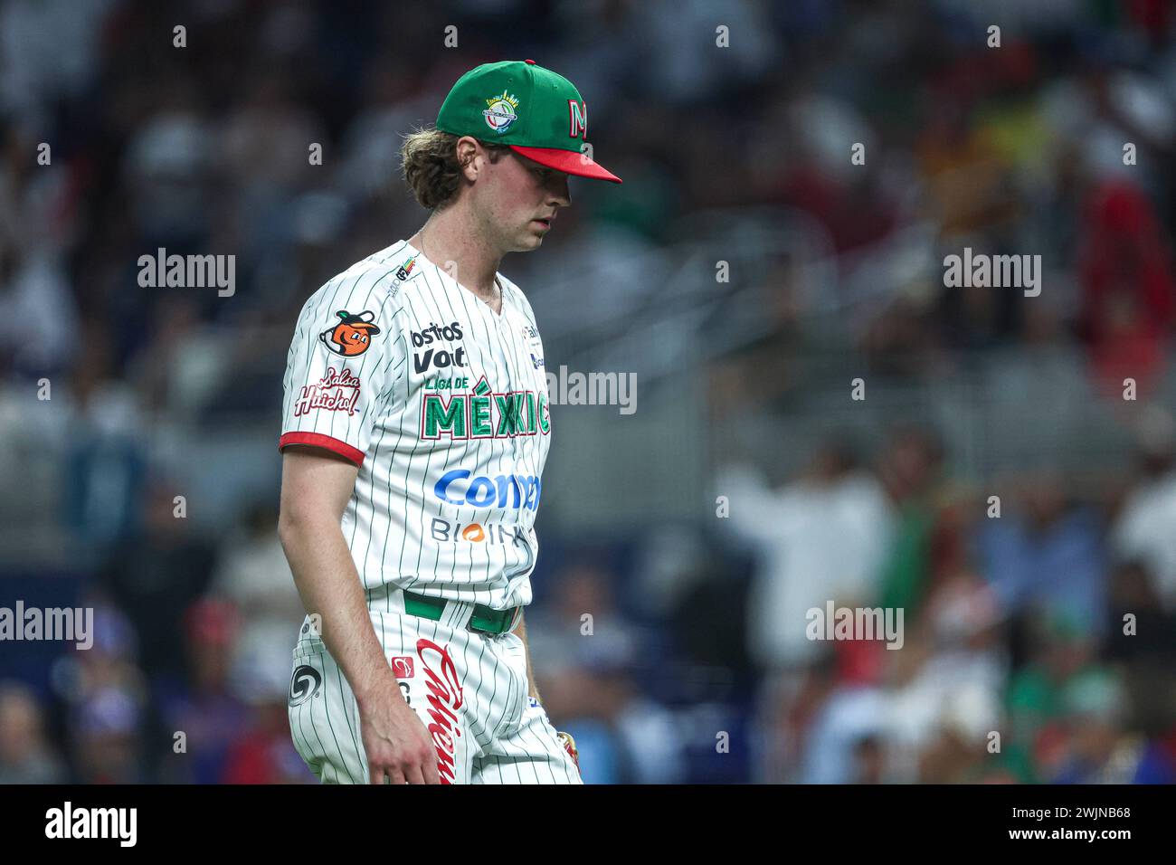 MIAMI, FLORIDA - FEBRUARY 2: Curtis Taylor, pitcher Naranjeros de ...