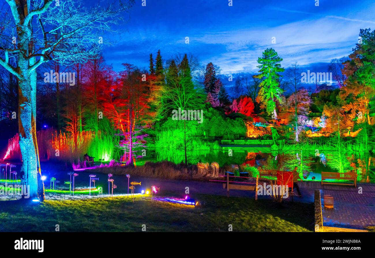 Parkleuchten, event in winter, in the Grugapark in Essen, many ...