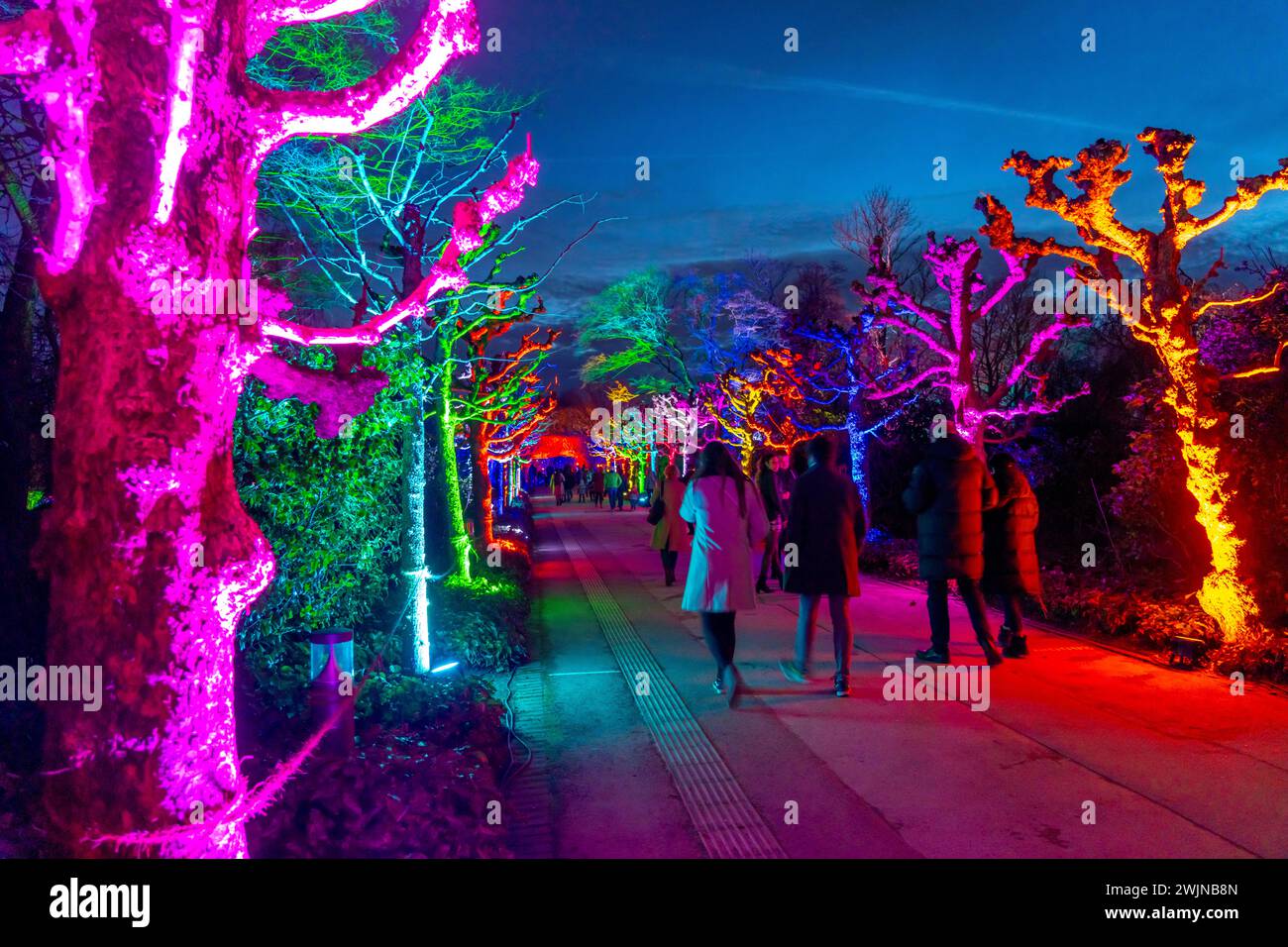Parkleuchten, event in winter, in the Grugapark in Essen, many ...