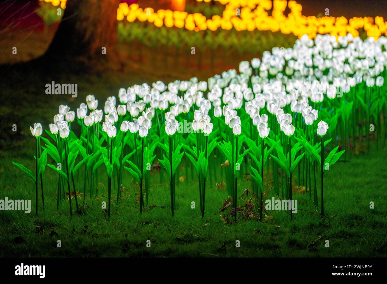 Parkleuchten, event in winter, in the Grugapark in Essen, many ...