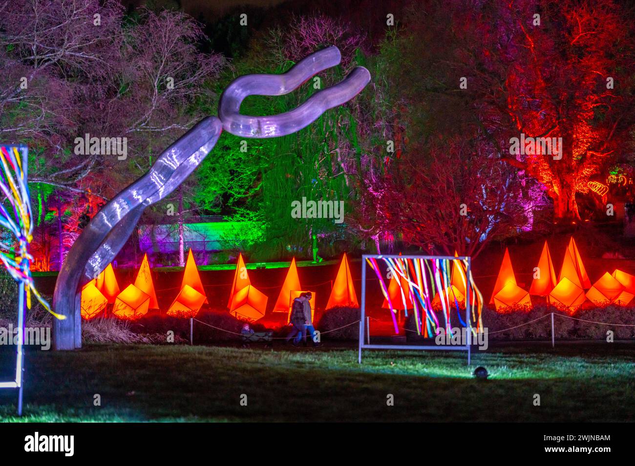 Parkleuchten, event in winter, in the Grugapark in Essen, many ...