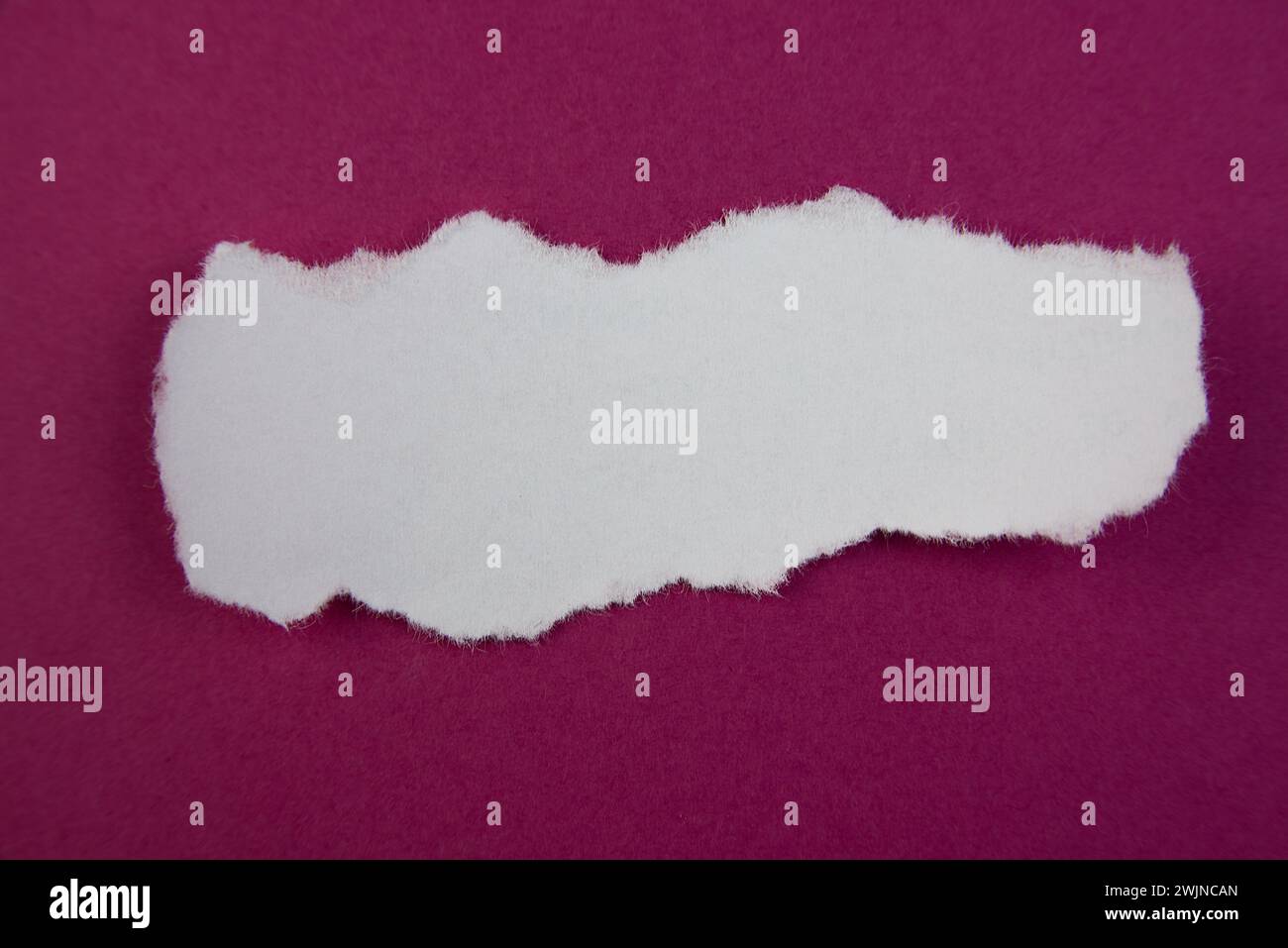 White Torn up paper strip on a violet background Stock Photo - Alamy