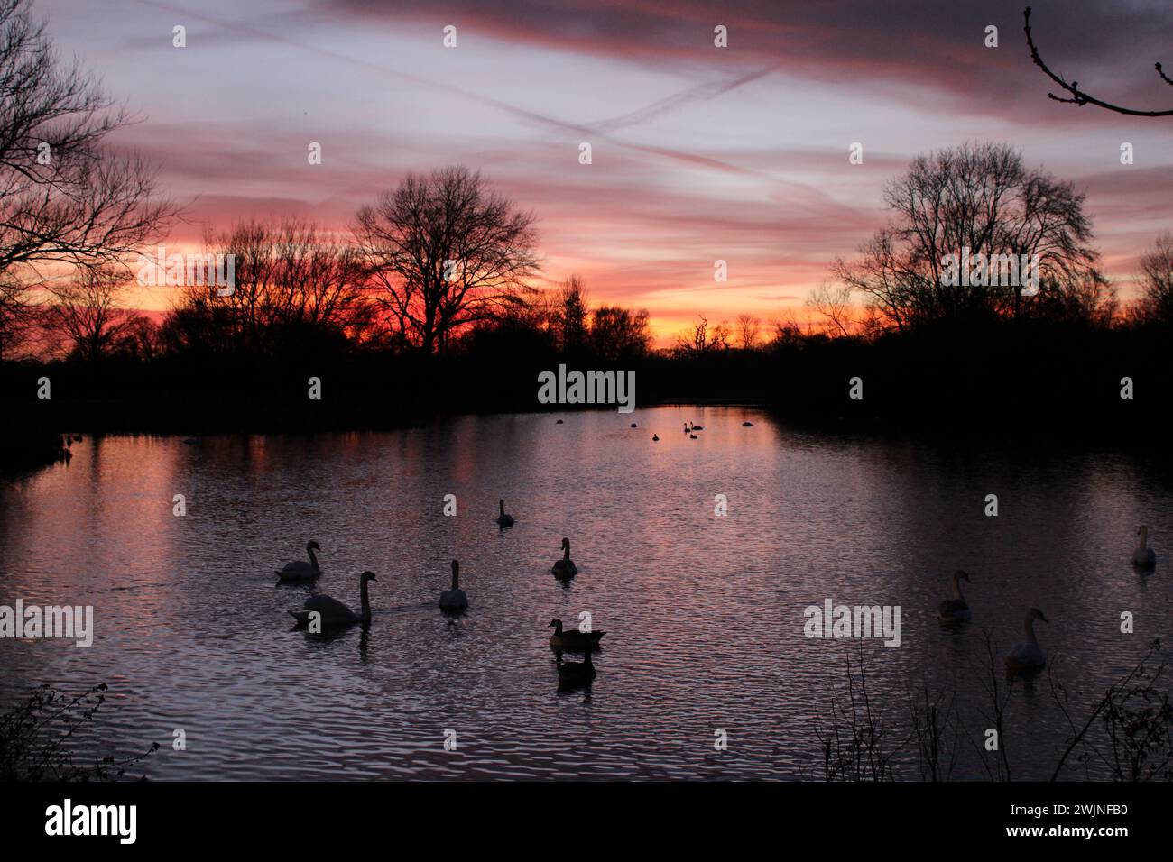 Backwell hi-res stock photography and images - Alamy