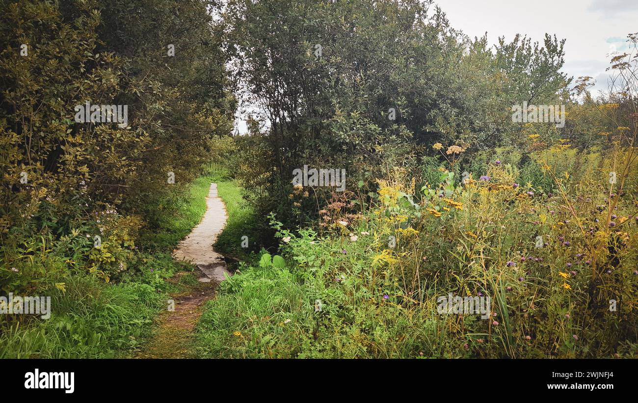 Right pathway hi-res stock photography and images - Alamy