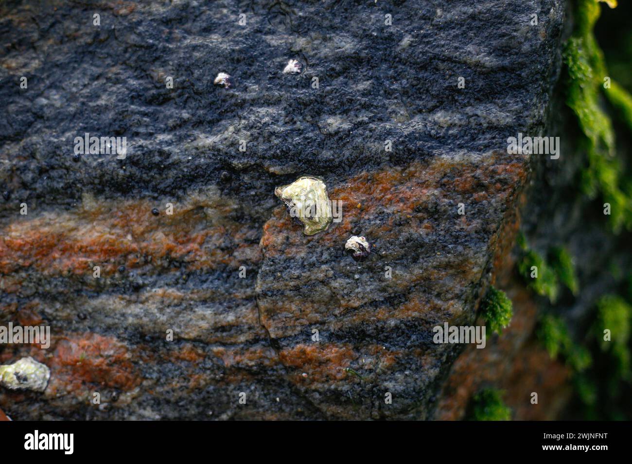 Colombo river hi-res stock photography and images - Alamy