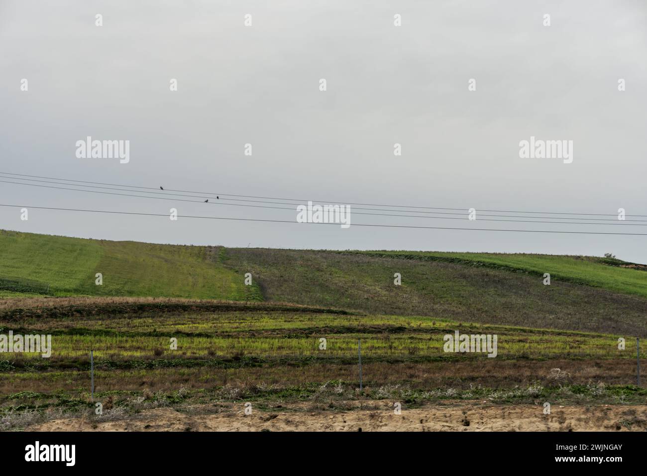 Some fallow fields with high tension lines crossing them Stock Photo ...
