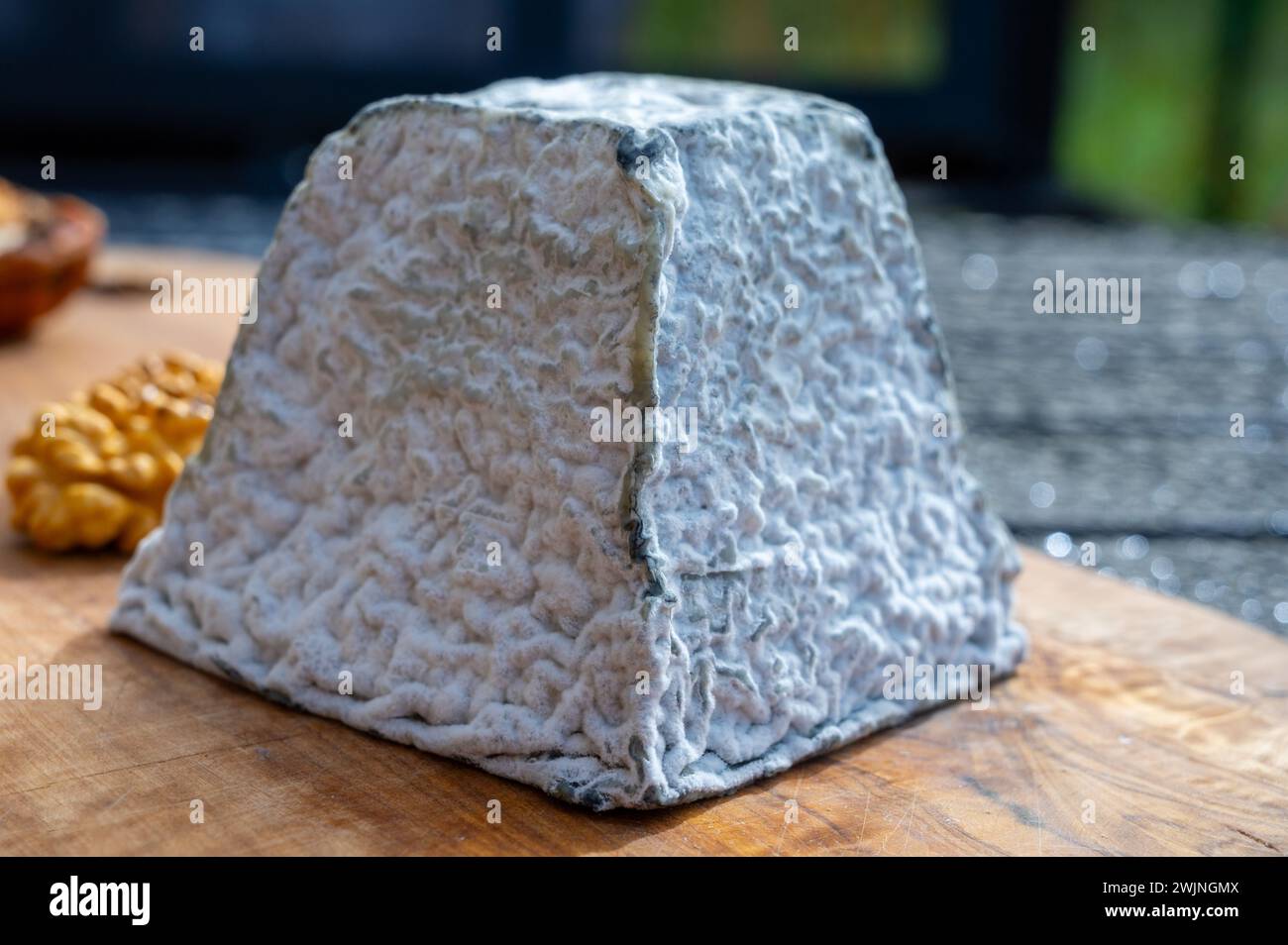 Cheese collection, French Valencay with black mold pyramid cheese made ...